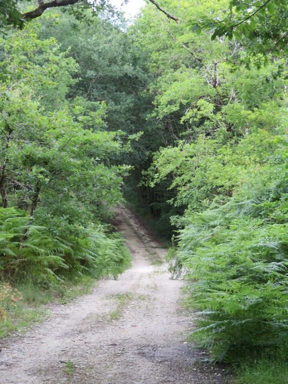 Cavignac - rando cavignac 8 km | OpenRunner