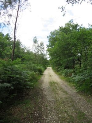 Cavignac - rando cavignac 8 km | OpenRunner