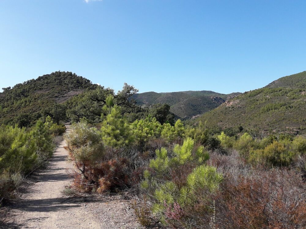 Saint-Raphaël - Tour du Bonnet du Capelan - dpt Veisseires | OpenRunner