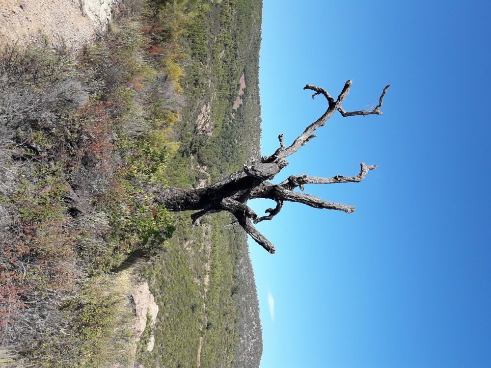 Saint-Raphaël - Tour du Bonnet du Capelan - dpt Veisseires | OpenRunner