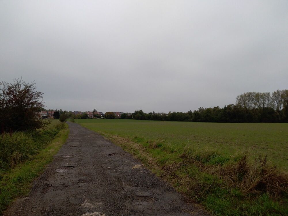 Courcelles - Souvret - Balade de la Croix-Tourne | OpenRunner