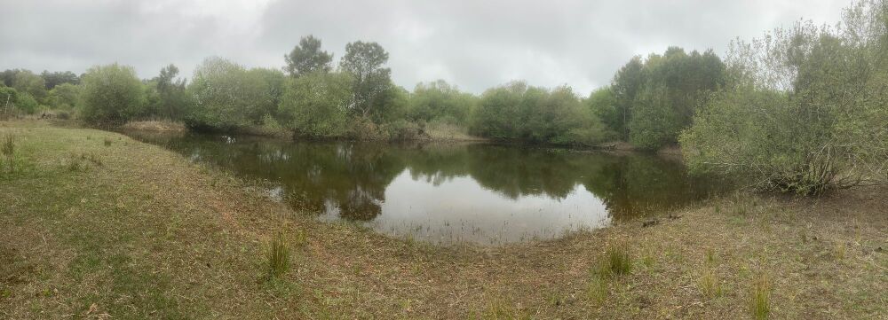 Ondres - Laguibe-2-Lac-Noir | OpenRunner