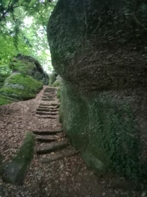 Cosswiller - Découverte de la vallée de la Mossig - | OpenRunner