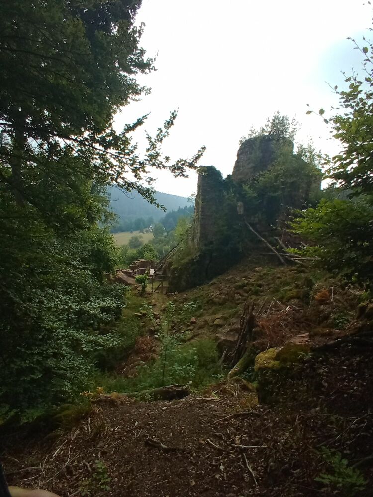 Cosswiller - Découverte de la vallée de la Mossig - | OpenRunner