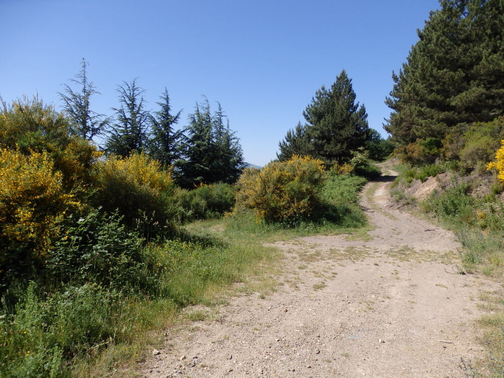 Montbolo - 66.215d Col de la Reducta / Col de Formentera | OpenRunner