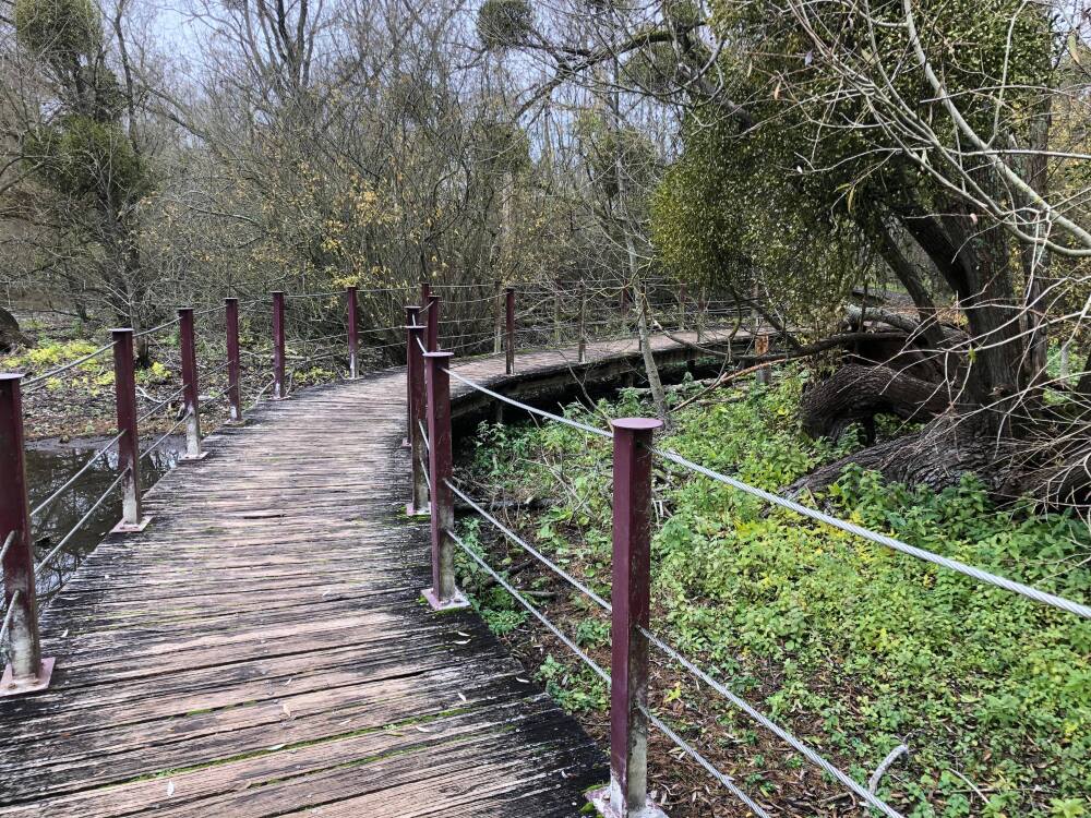 Meaux - Boucle du Parc du Pâtis | OpenRunner