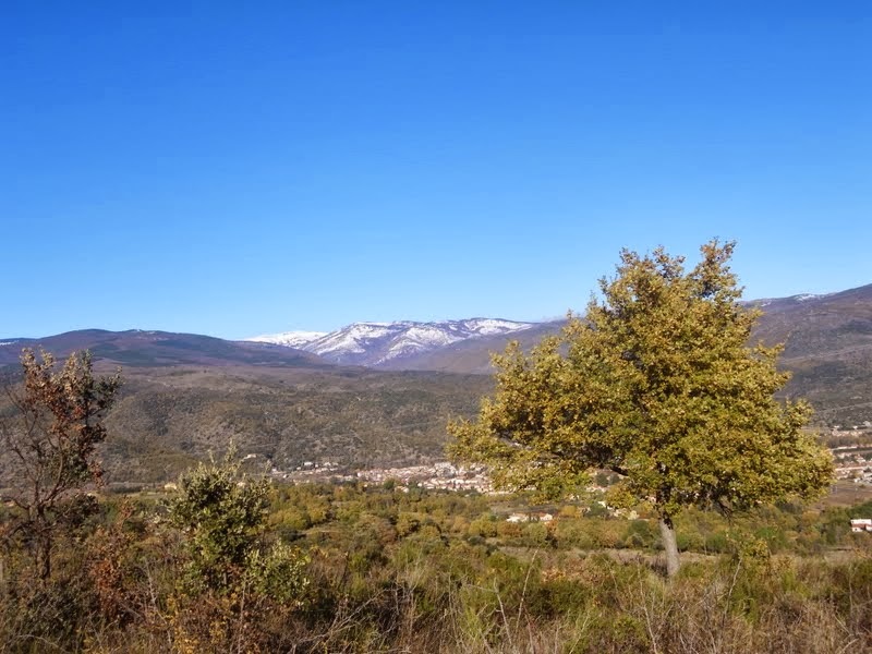Prades - 66.629a Prades / Col de Clara / Canal de Bohère | OpenRunner