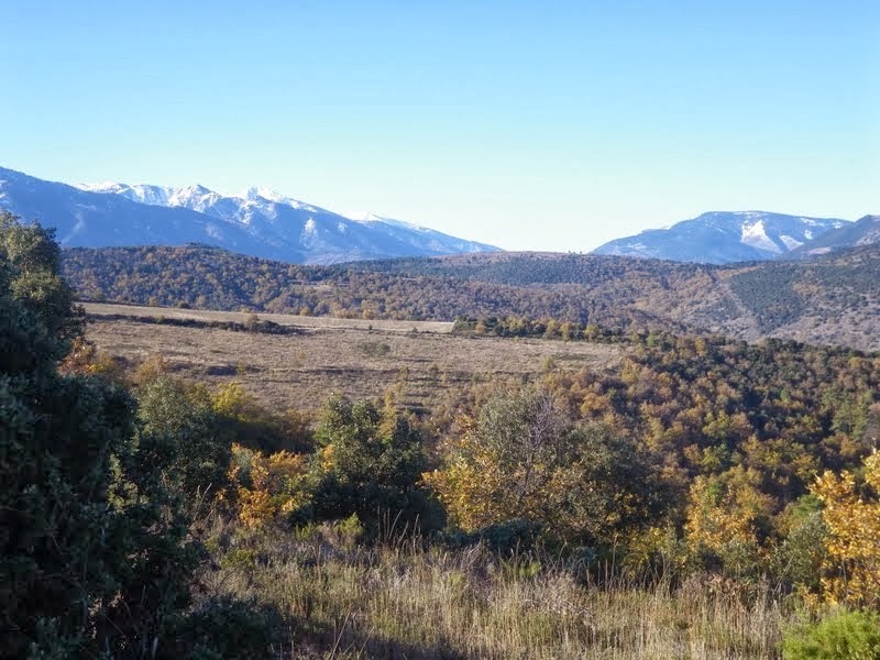 Prades - 66.629a Prades / Col de Clara / Canal de Bohère | OpenRunner