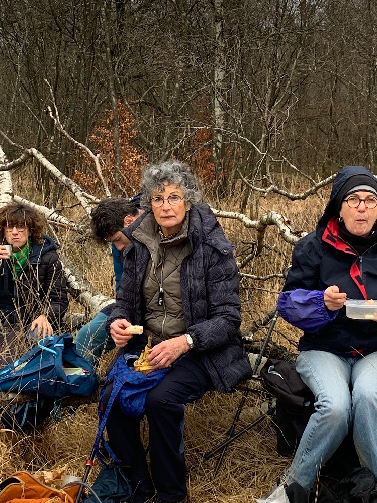 Spa - fagnes le 1 et janvier 2023 | OpenRunner