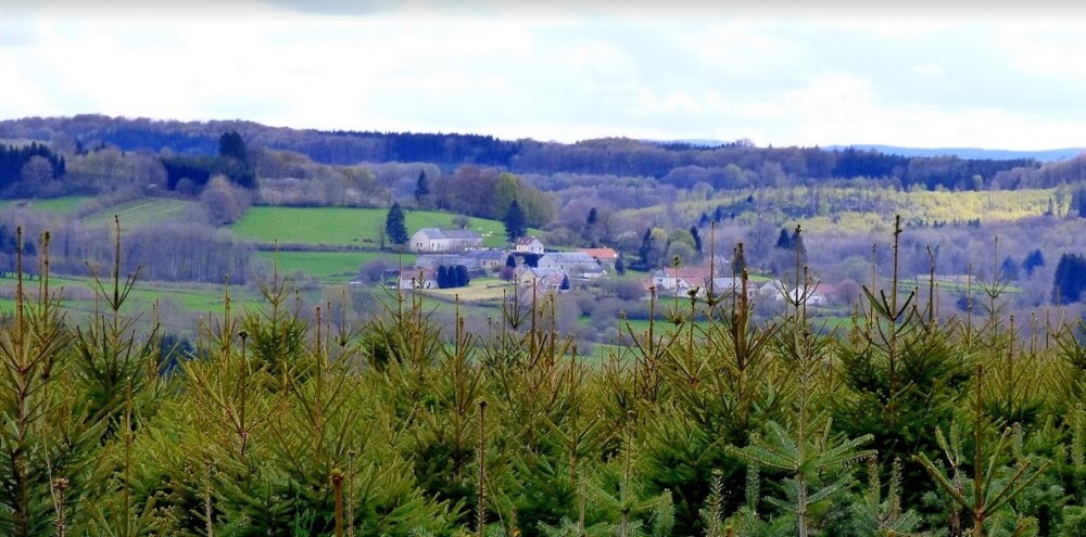 Saint-Brisson - St Brisson les G Fourches Gouloux JPB | OpenRunner