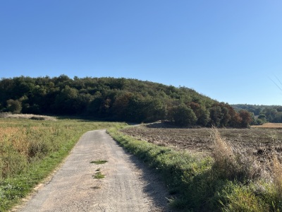 Frontonas - Découverte / P1 pour le 29 sept 2023 - FRONTONAS | OpenRunner